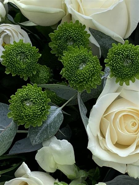 Classy White Avalanche Rose Bouquet